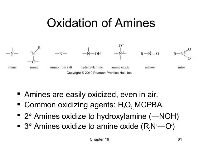19 - Amines - Wade 7th
