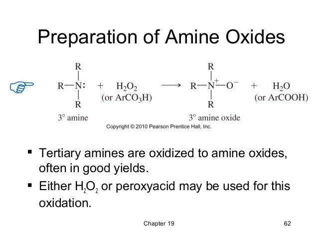 19 - Amines - Wade 7th