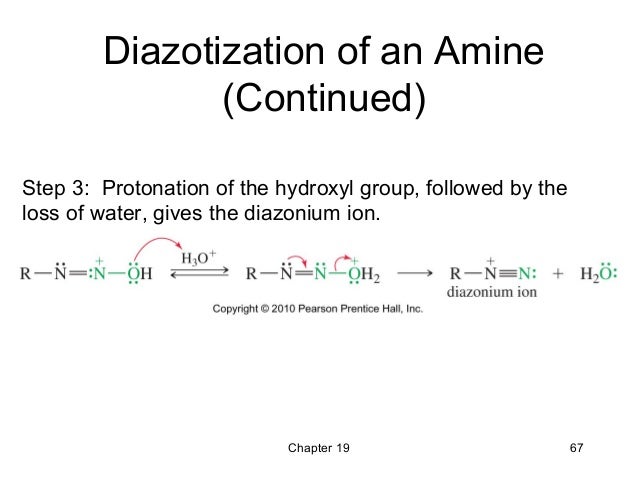 19 - Amines - Wade 7th