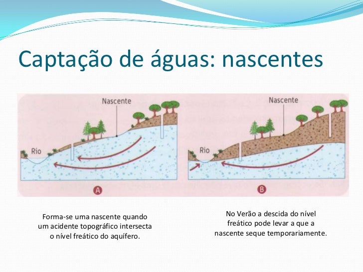 BioGeo11-aquiferos