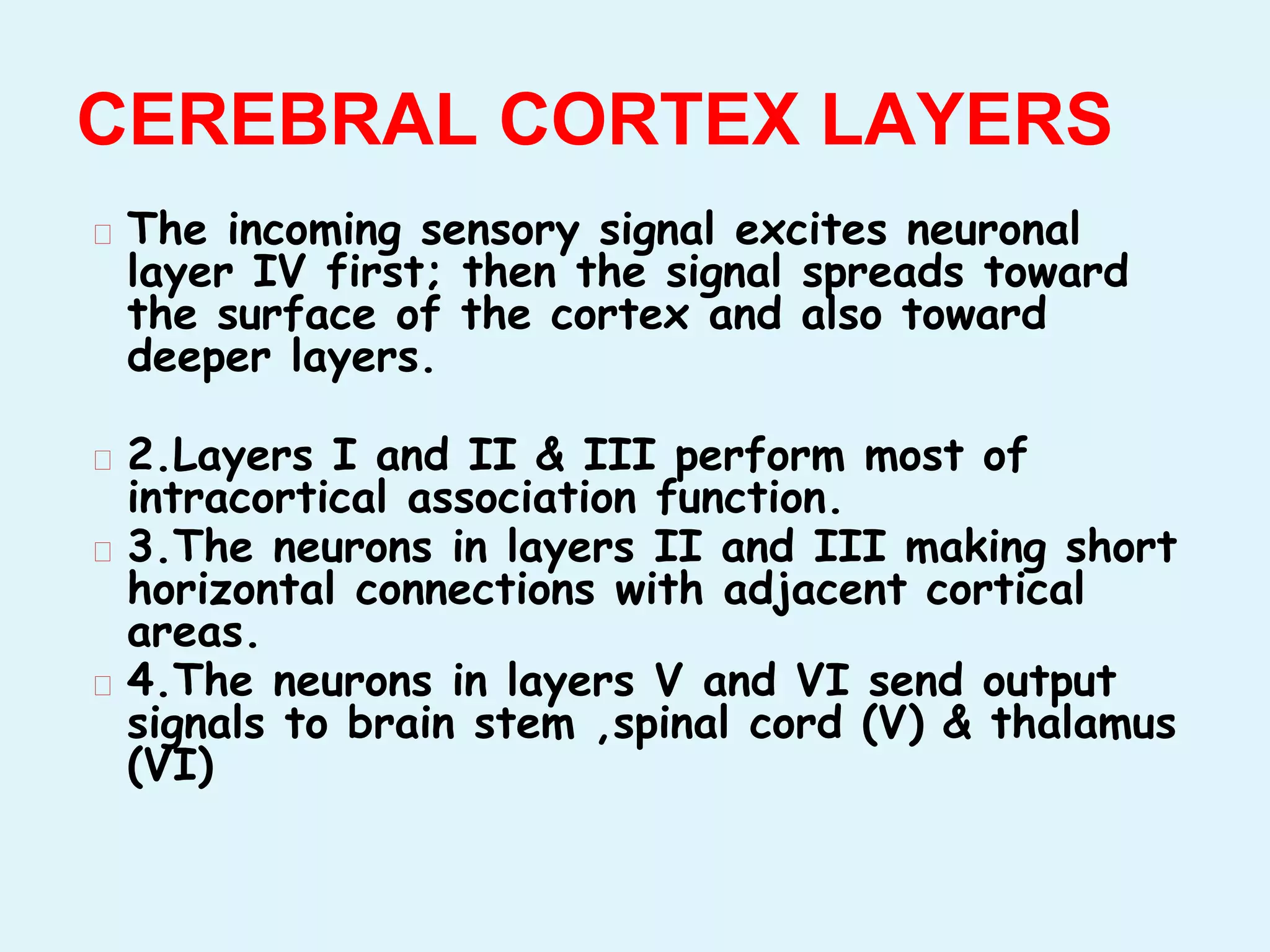 19-Cerebral hemisphere functions (1).pptx