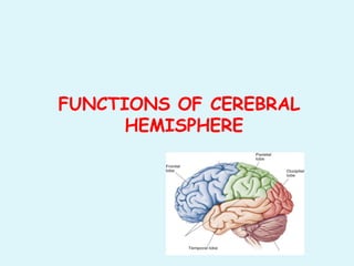 Cerebral Hemisphere Function