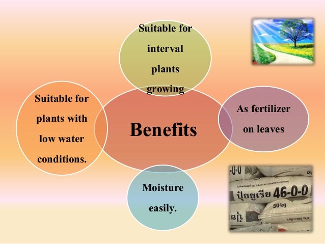 Urea production prepared