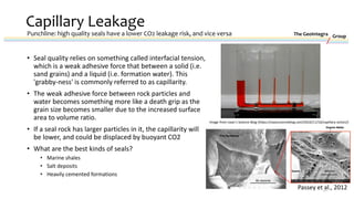 Will it leak?: Discussions of leakage risk from subsurface storage of ...