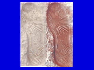 19 Forensic Science Powerpoint Chapter 19 Forensic Footwear Evi | PPT