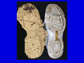 19 Forensic Science Powerpoint Chapter 19 Forensic Footwear Evi | PPT