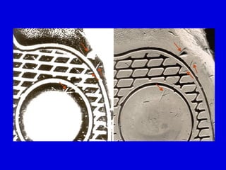 19 Forensic Science Powerpoint Chapter 19 Forensic Footwear Evi | PPT