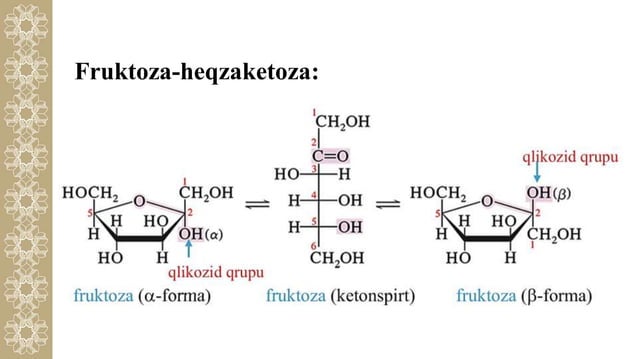 19 fruktoza, riboza, dezoksiriboza | PPTX