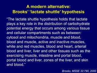 19 - Lactate kinetics.ppt