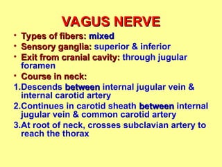 Anatomy of the last 4 cranial nerves.ppt