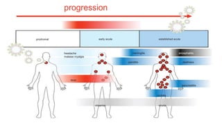 mumps Pathology | PPT