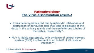 mumps Pathology | PPT