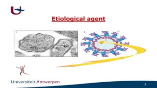 mumps Pathology | PPT