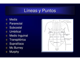 19. pared abdominal | PDF