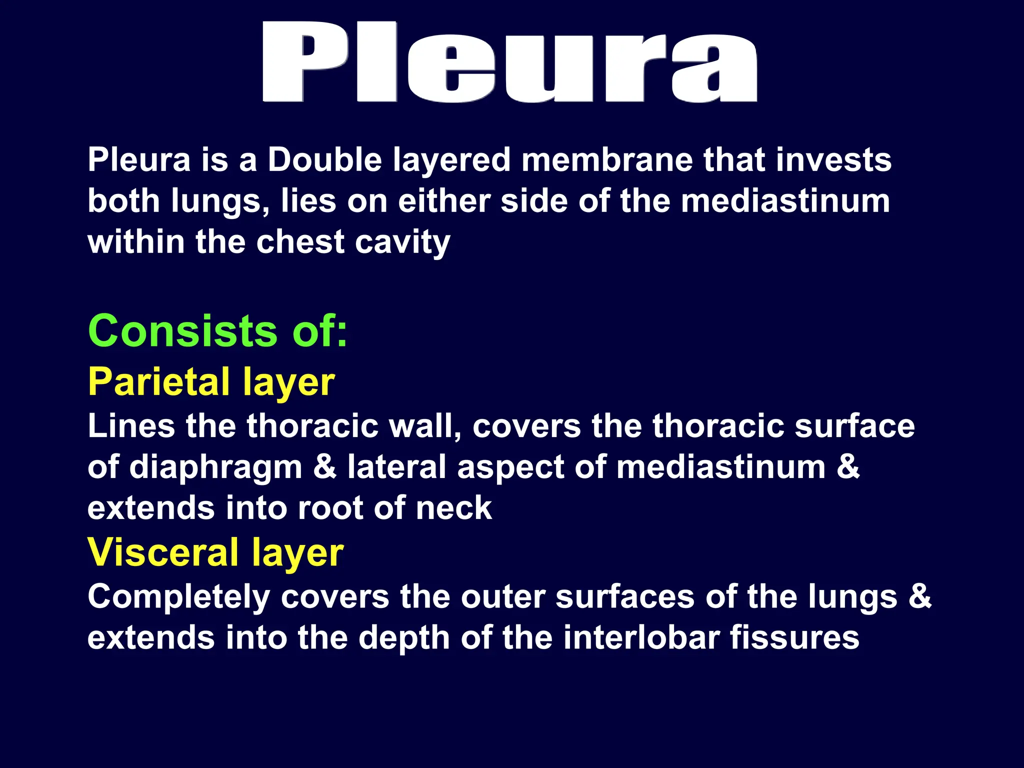 19-Pleura & Lungs.ppt anatomy and its clinical aspects | PPT