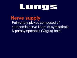 19-Pleura & Lungs.ppt anatomy and its clinical aspects | PPT