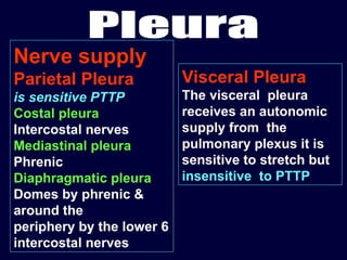 19-Pleura & Lungs ppt on the human anatomy | PPT