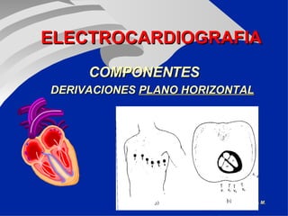 19. Principios Del Ekg | PPT