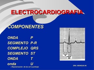 19. Principios Del Ekg | PPT