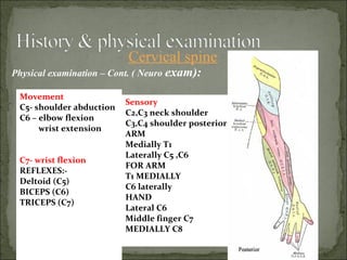 spine Orthopedic | PPT