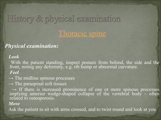 spine Orthopedic | PPT