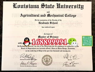 Louisiana State University degree offer diploma Transcript | PPT