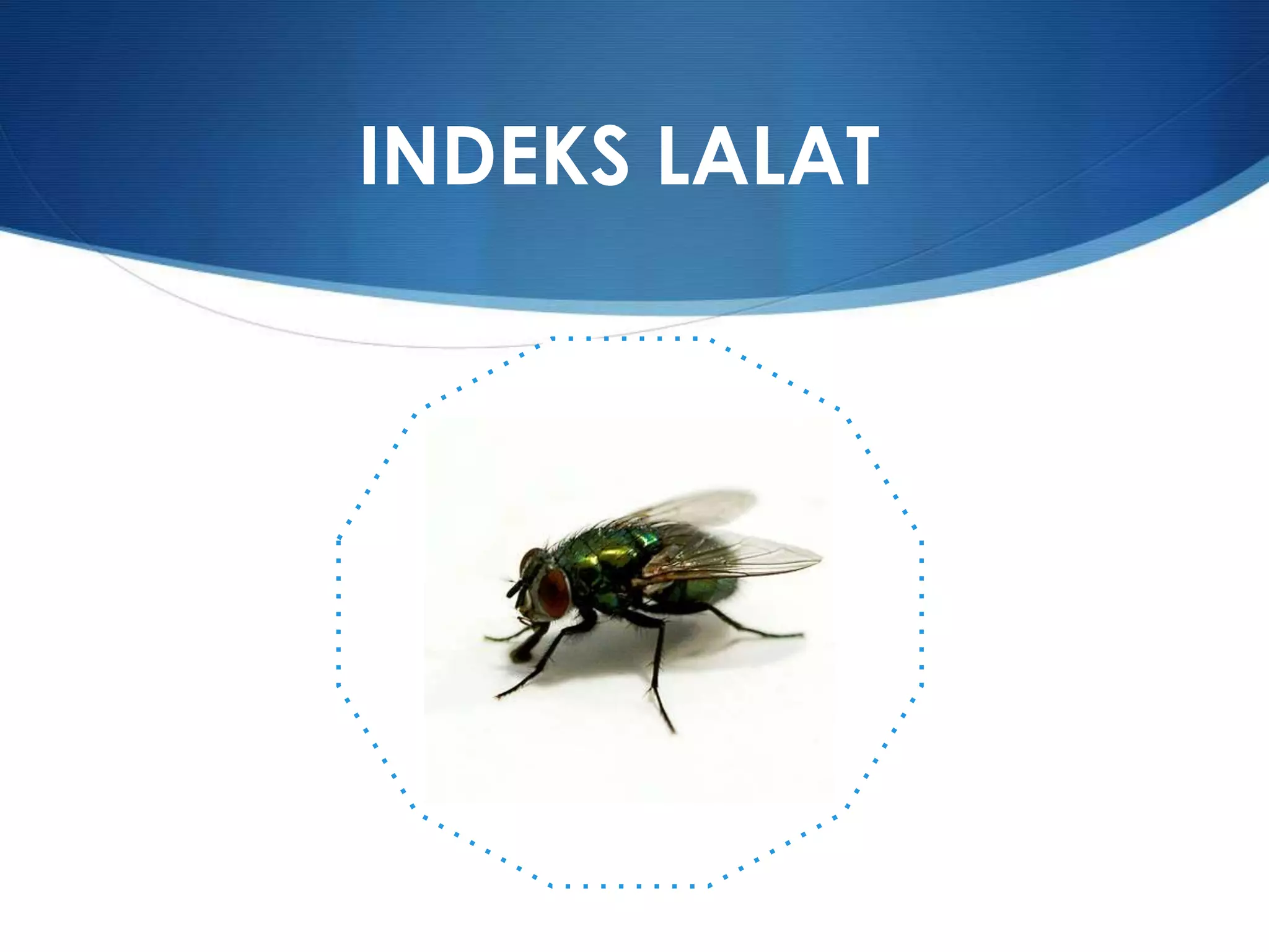 Indeks Lalat - Indeks Tungau/Pinjal - Kepadatan Nyamuk | PPTX