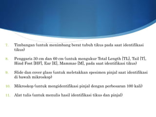Indeks Lalat - Indeks Tungau/Pinjal - Kepadatan Nyamuk | PPTX