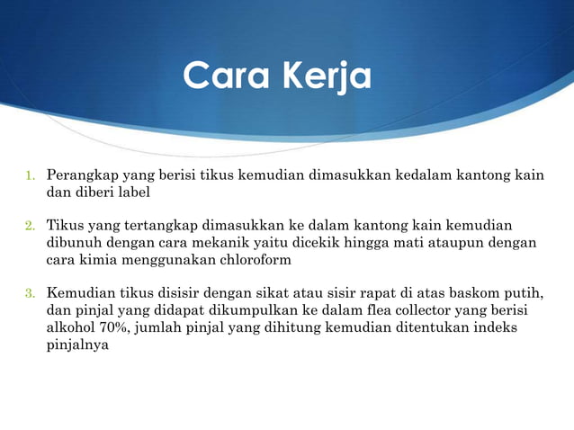 Indeks Lalat - Indeks Tungau/Pinjal - Kepadatan Nyamuk | PPTX