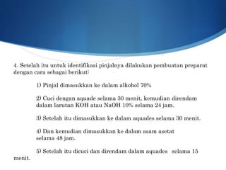 Indeks Lalat - Indeks Tungau/Pinjal - Kepadatan Nyamuk | PPTX