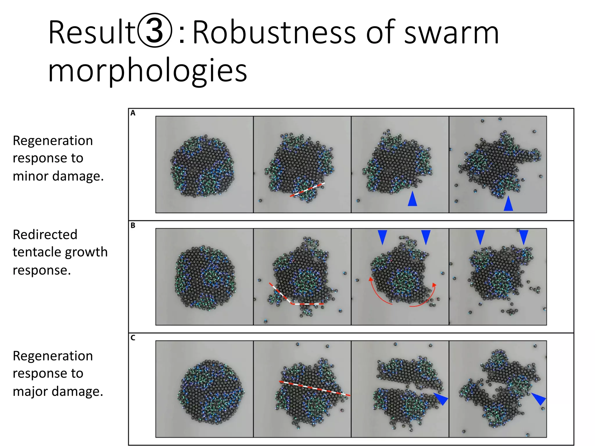 Morphogenesis in robot swarms | PDF