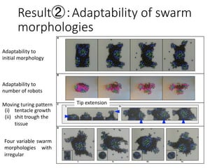 Morphogenesis in robot swarms | PDF