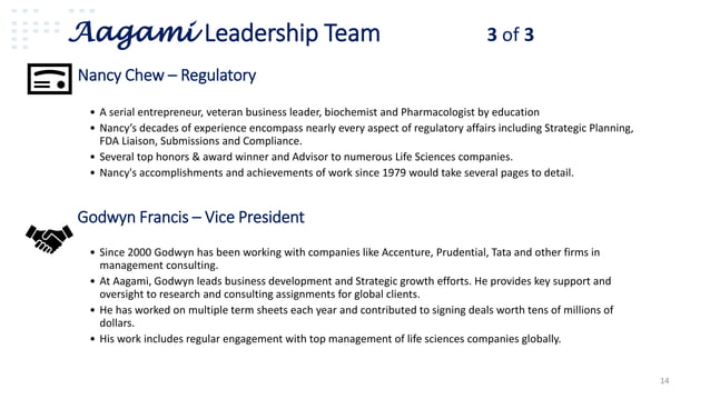 Aagami Market Intelligence Presentation | PPT