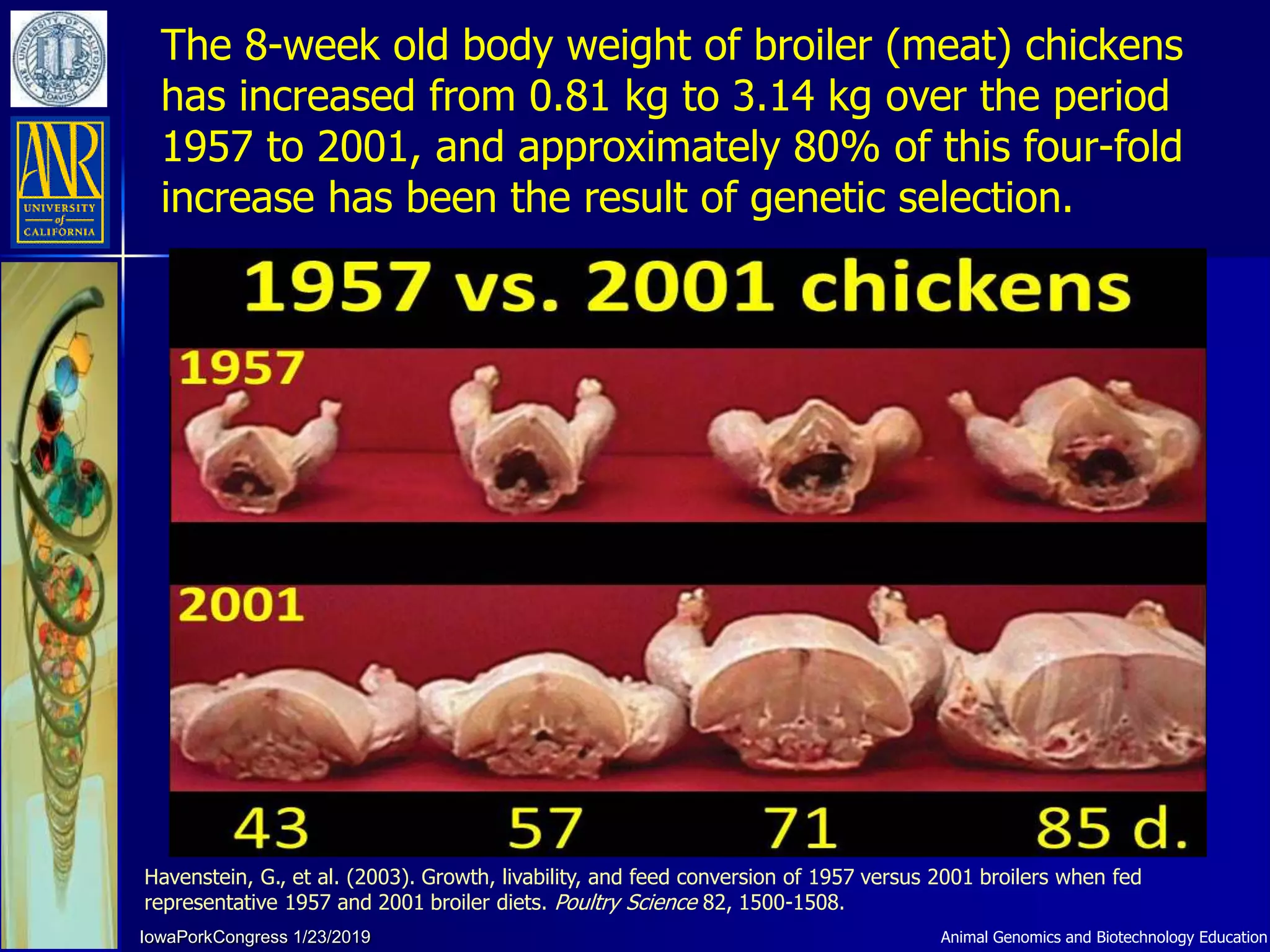 Were those the days? Agriculture Then and Now | PPTX