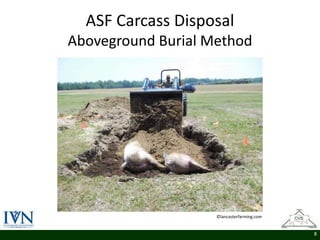 African Swine Fever Carcass Disposal | PPTX