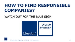 THE BLUE WAY by BLUESIGN | PDF