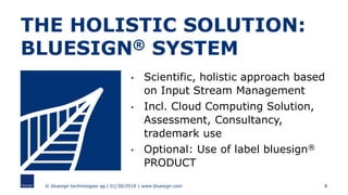 THE BLUE WAY by BLUESIGN | PDF | Business | Business and Finance