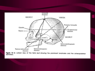 ppt on normal labour and its management | PPT
