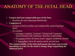 ppt on normal labour and its management | PPT