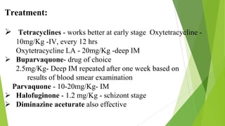Case presentation.pptx of veterinary medicine veterinary education | PPTX