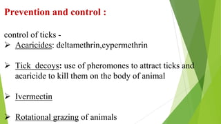 Case presentation.pptx of veterinary medicine veterinary education | PPTX