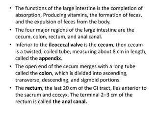 A presentation on Human Anatomy and physiology | PPT