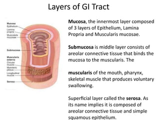 A presentation on Human Anatomy and physiology | PPT