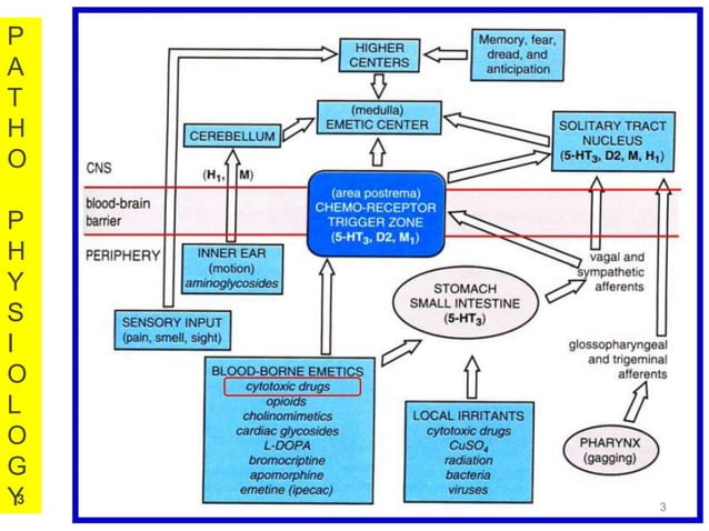 chemotherapy induced nausea and vomiting.ppt