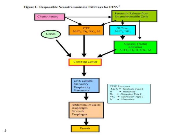chemotherapy induced nausea and vomiting.ppt