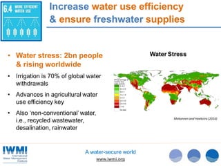 Global Water Challenges - Designing Water Investments for Development ...