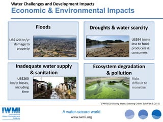Global Water Challenges - Designing Water Investments for Development ...