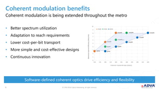 Metro network transformation | PDF