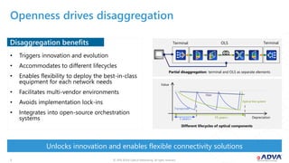Metro network transformation | PDF