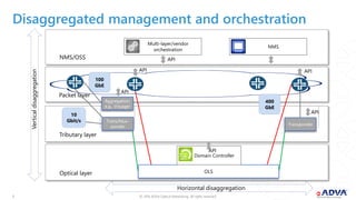 Metro network transformation | PDF